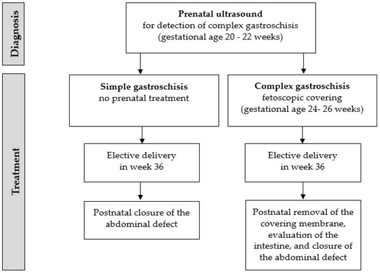 Children | Free Full-Text | Fetal Surgery for Gastroschisis—A Review ...