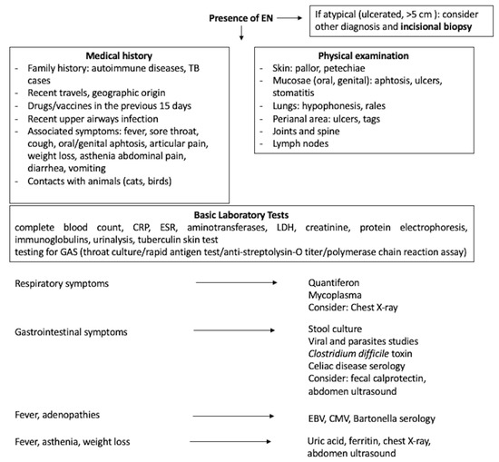Erythema Nodosum in Children: A Narrative Review and a Practical Approach