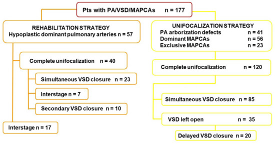 Children | Free Full-Text | The Modern Surgical Approach to Pulmonary ...