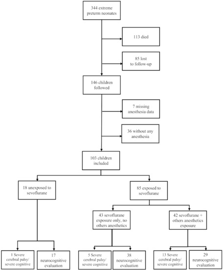 Long Term Neurodevelopmental Outcomes after Sevoflurane Neonatal ...