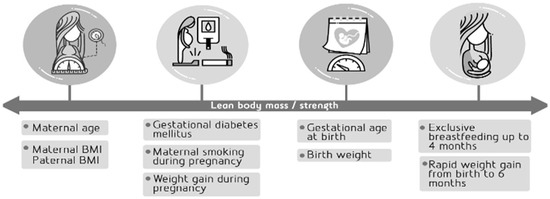 Early Life Factors Associated with Lean Body Mass in Spanish Children ...