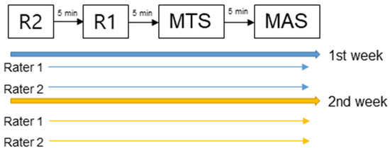 Reliability of the Modified Ashworth and Modified Tardieu Scales with ...