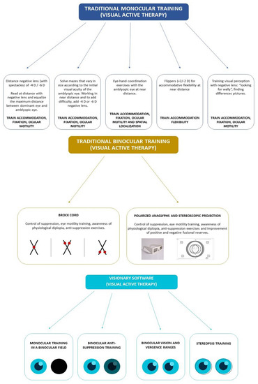 Long-Term Efficacy of the Combination of Active Vision Therapy and ...