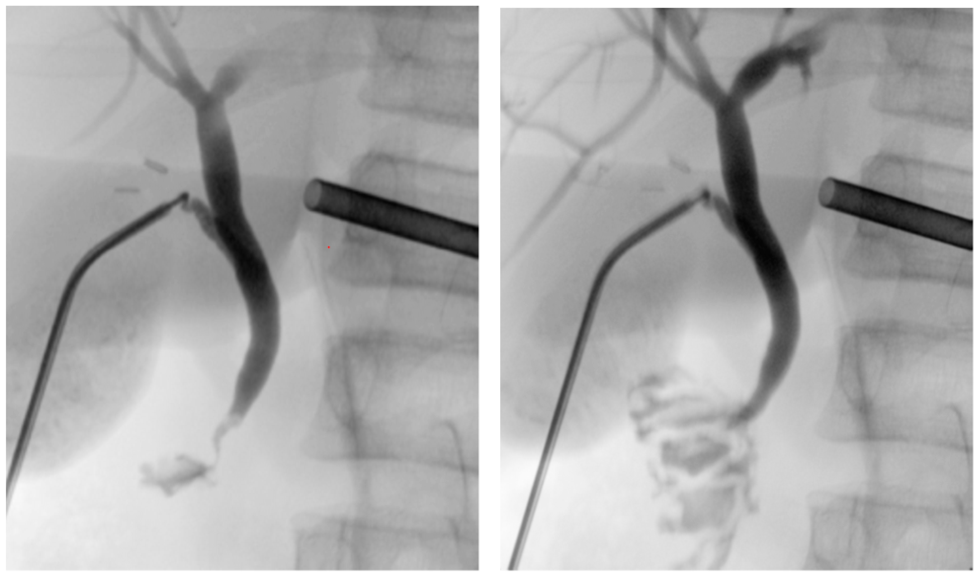 Children | Free Full-Text | Tips and Tricks—3 Use Cases of ...