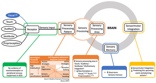 Sensory Processing Impairments in Children with Developmental ...