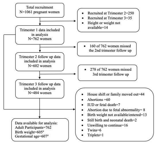 Maternal Nutrition, Body Composition and Gestational Weight Gain on Low ...