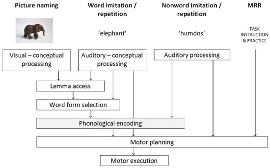 Children | Free Full-Text | Process-Oriented Profiling of Speech Sound Disorders