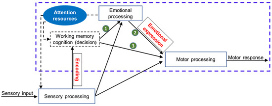 Interventions for Sensory Over-Responsivity in Individuals with Autism ...