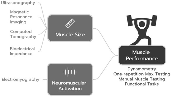 Skeletal Muscle Measurements in Pediatric Hematology and Oncology ...