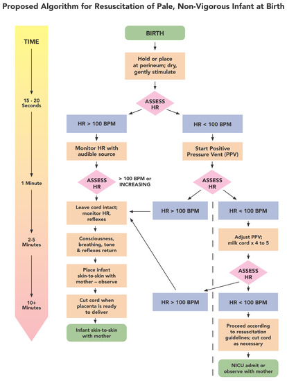 Children | Free Full-Text | Cardiac Asystole at Birth Re-Visited ...