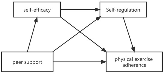 Peer Support and Exercise Adherence in Adolescents: The Chain-Mediated ...