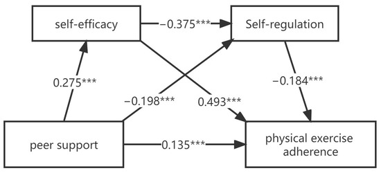Peer Support and Exercise Adherence in Adolescents: The Chain-Mediated ...