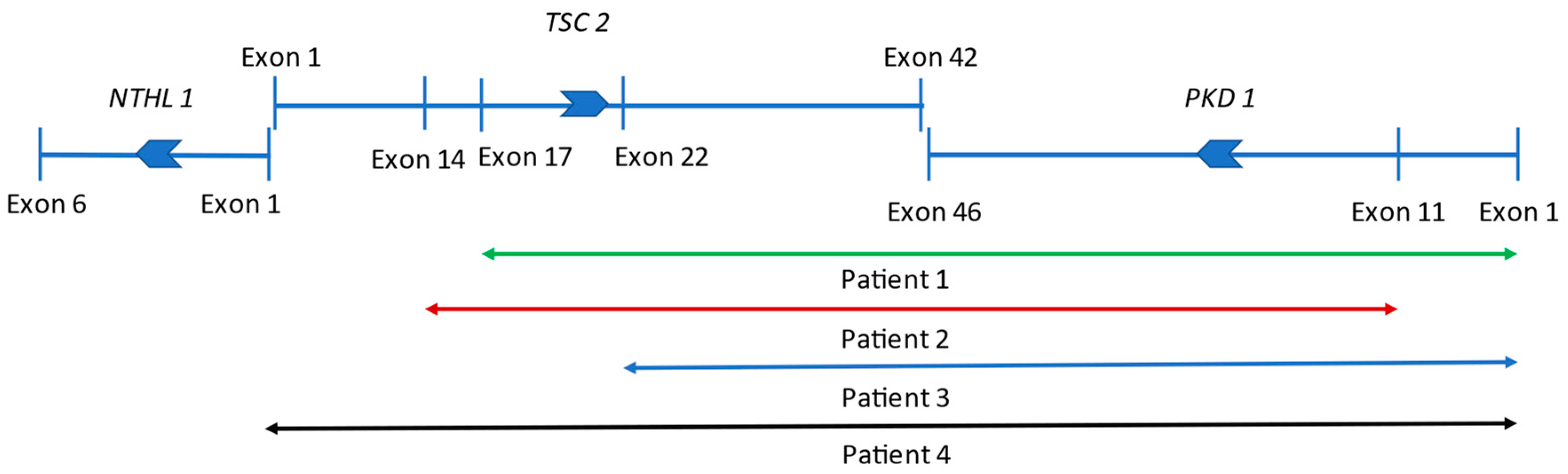 The Importance of Genetic Testing in the Differential Diagnosis of ...