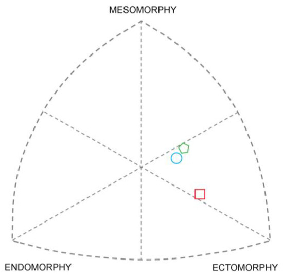 Maturity-Related Variations in Morphology, Body Composition, and ...