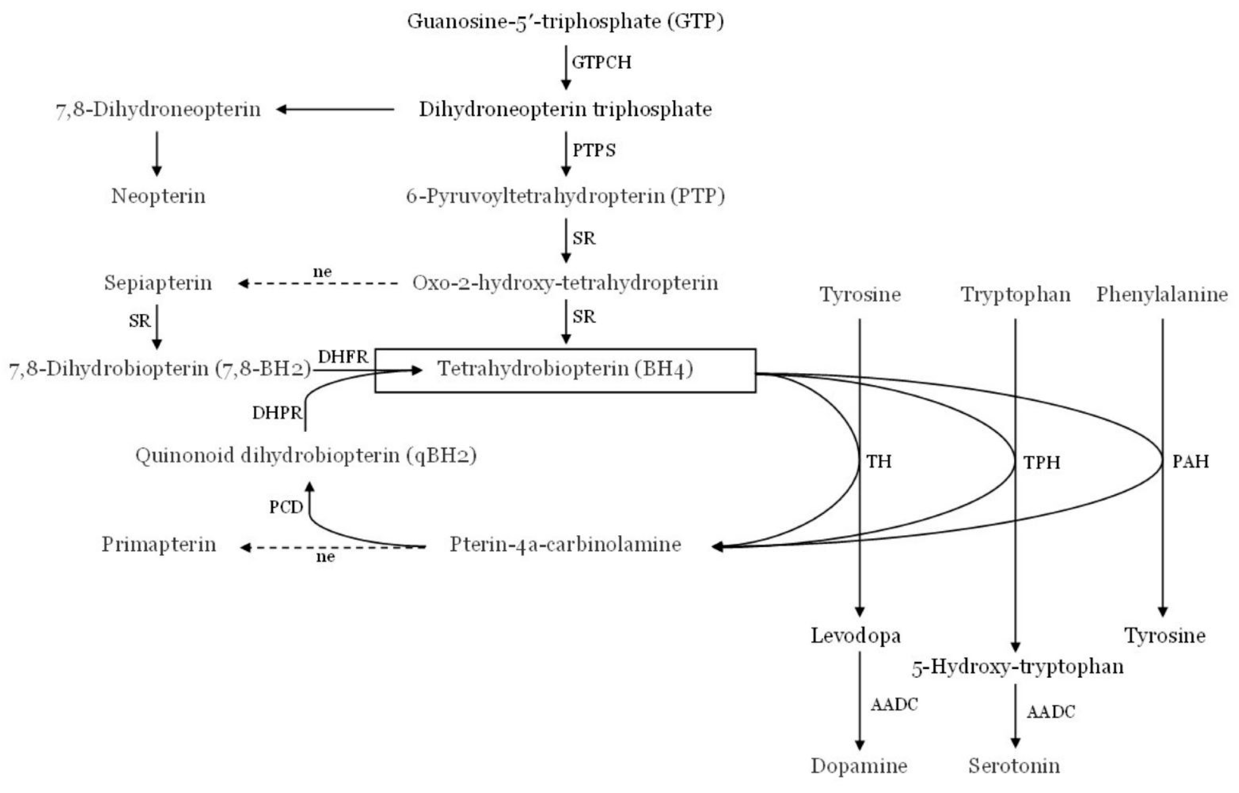 Two Cases of 6-Pyruvoyl Tetrahydropterin Synthase Deficiency: Case ...