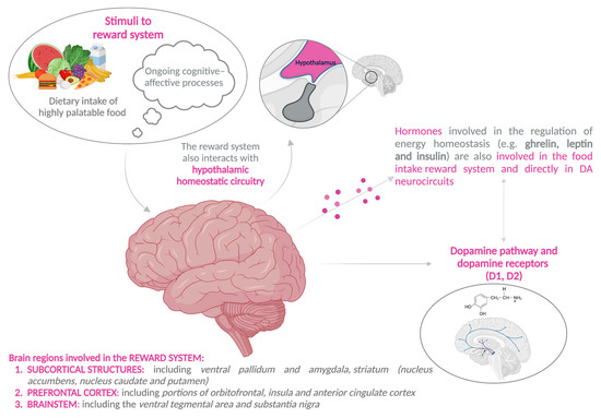 Ultra-Processed Food, Reward System and Childhood Obesity