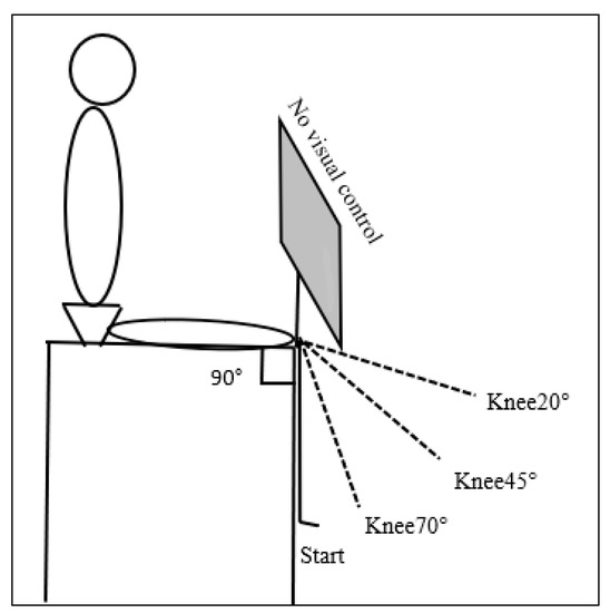 Evaluation of Knee Position Sense in Children with Motor Disabilities ...