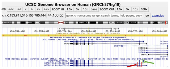 The Genetics of Glucose-6-Phosphate-Dehydrogenase (G6PD) and Uridine ...