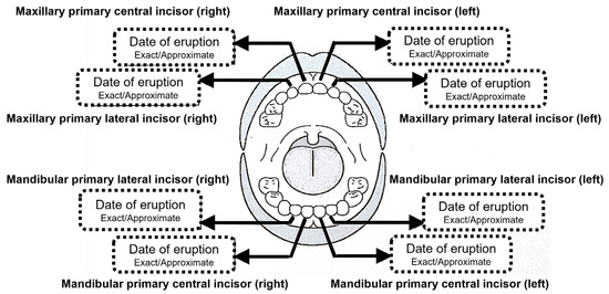 Timing of Primary Tooth Eruption in Infants Observed by Their Parents