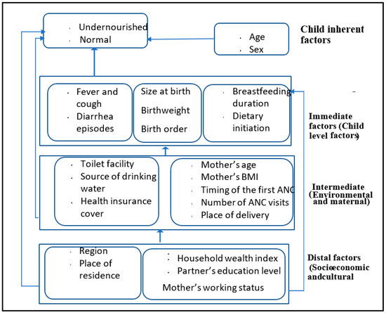 Modeling the Risk Factors of Undernutrition among Children below Five ...
