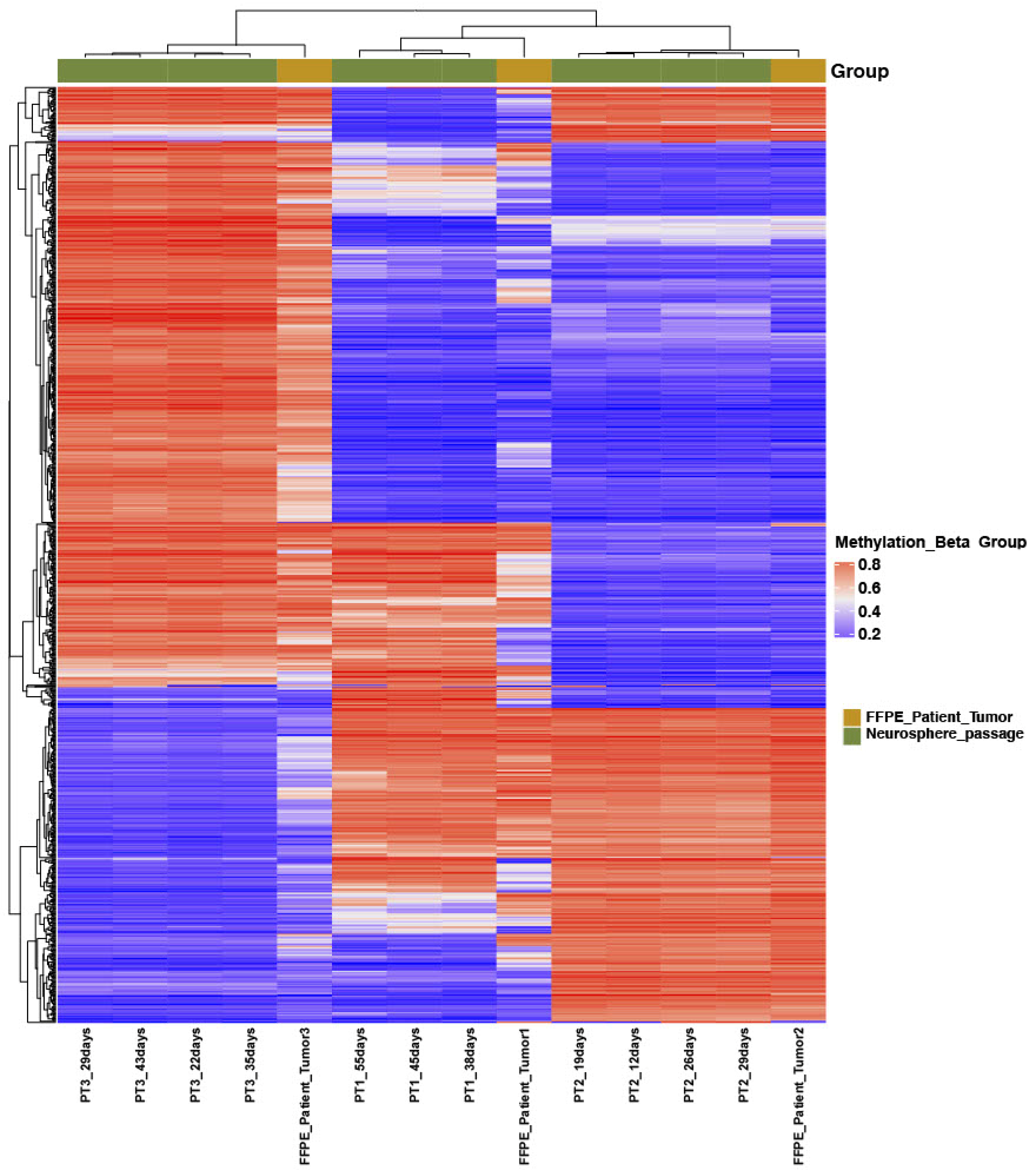 DNA Methylation Profiles Are Stable in H3 K27M-Mutant Diffuse Midline ...