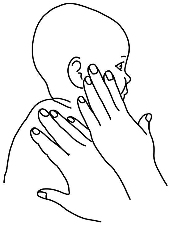 A Qualitative Investigation of Parent Perceptions of Home Exercises for ...