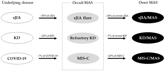 Macrophage Activation Syndrome in Children: Update on Diagnosis and ...
