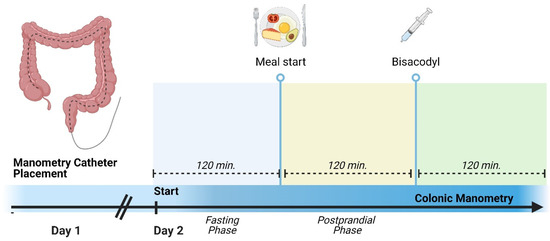 Children | Free Full-Text | Exploring Diagnostic Priorities: The Role ...