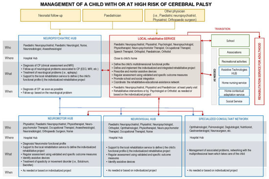 Children | Free Full-Text | Care Pathways in Rehabilitation for ...