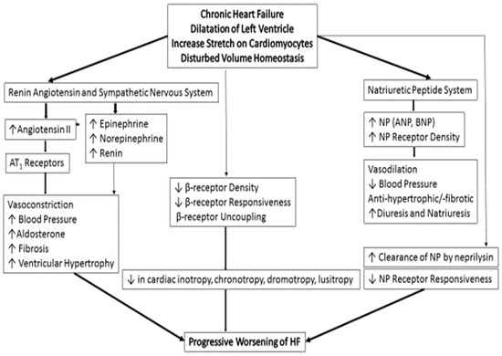 A Review of Contemporary and Future Pharmacotherapy for Chronic Heart ...