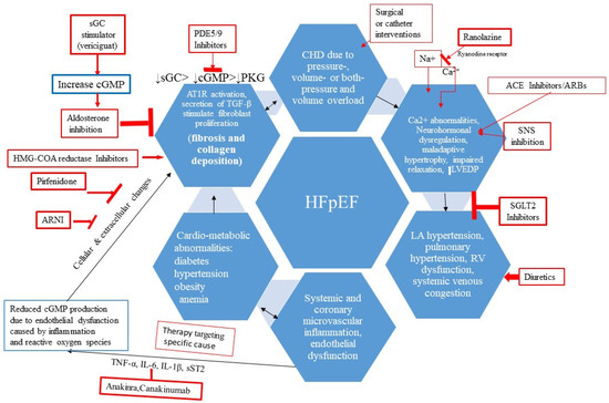 A Review of Contemporary and Future Pharmacotherapy for Chronic Heart ...