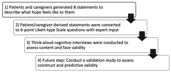 Voices of Hope: Leveraging Think-Aloud Cognitive Interviews to Develop ...