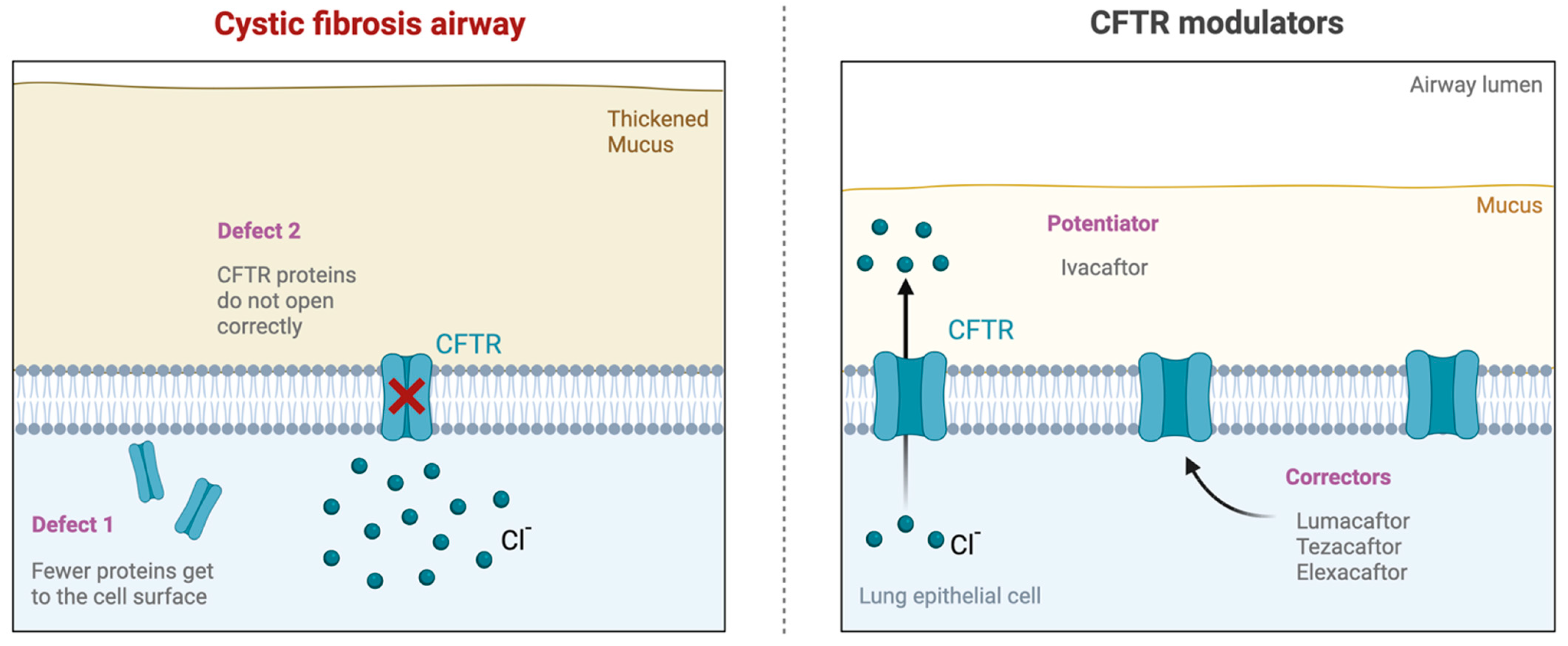 Clinical Outcomes in Patients with Cystic Fibrosis Receiving CFTR Modulators: A Comparison of ...