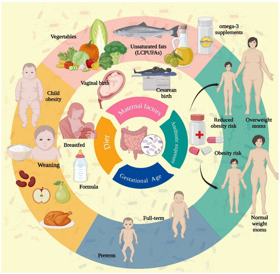 Microbiome Modulation in Pediatric Leukemia: Impact on Graft-Versus ...