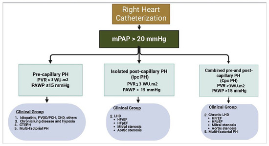 Mechanism and Treatment of Right Ventricular Failure Due to Pulmonary ...