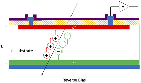 Silicon Radiation Detector Technologies: From Planar to 3D