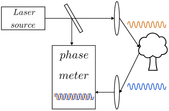 A Survey of Automotive Radar and Lidar Signal Processing and Architectures