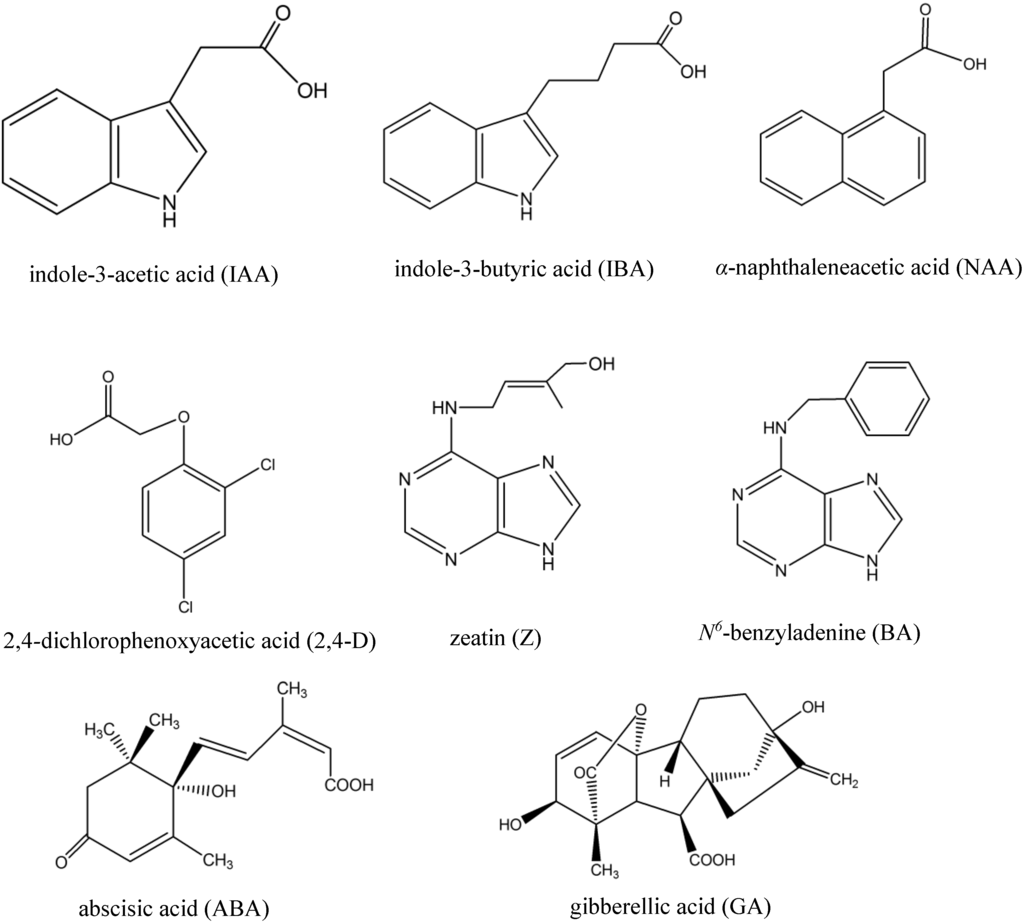 Analyses of Phytohormones in Coconut (Cocos Nucifera L.) Water Using ...