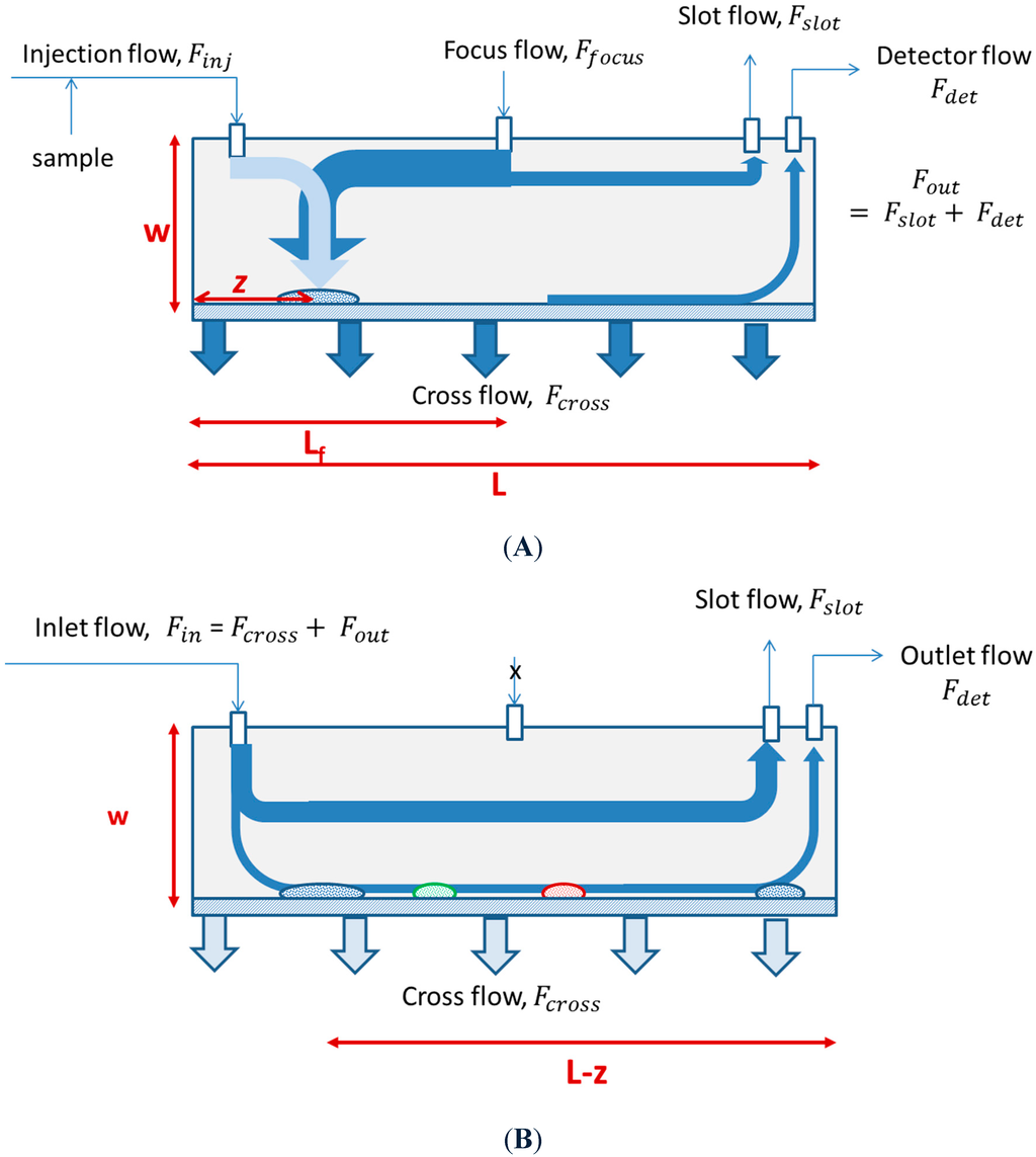 Chromatography | Free Full-Text | Multivariate DoE Optimization of Asymmetric Flow Field Flow ...