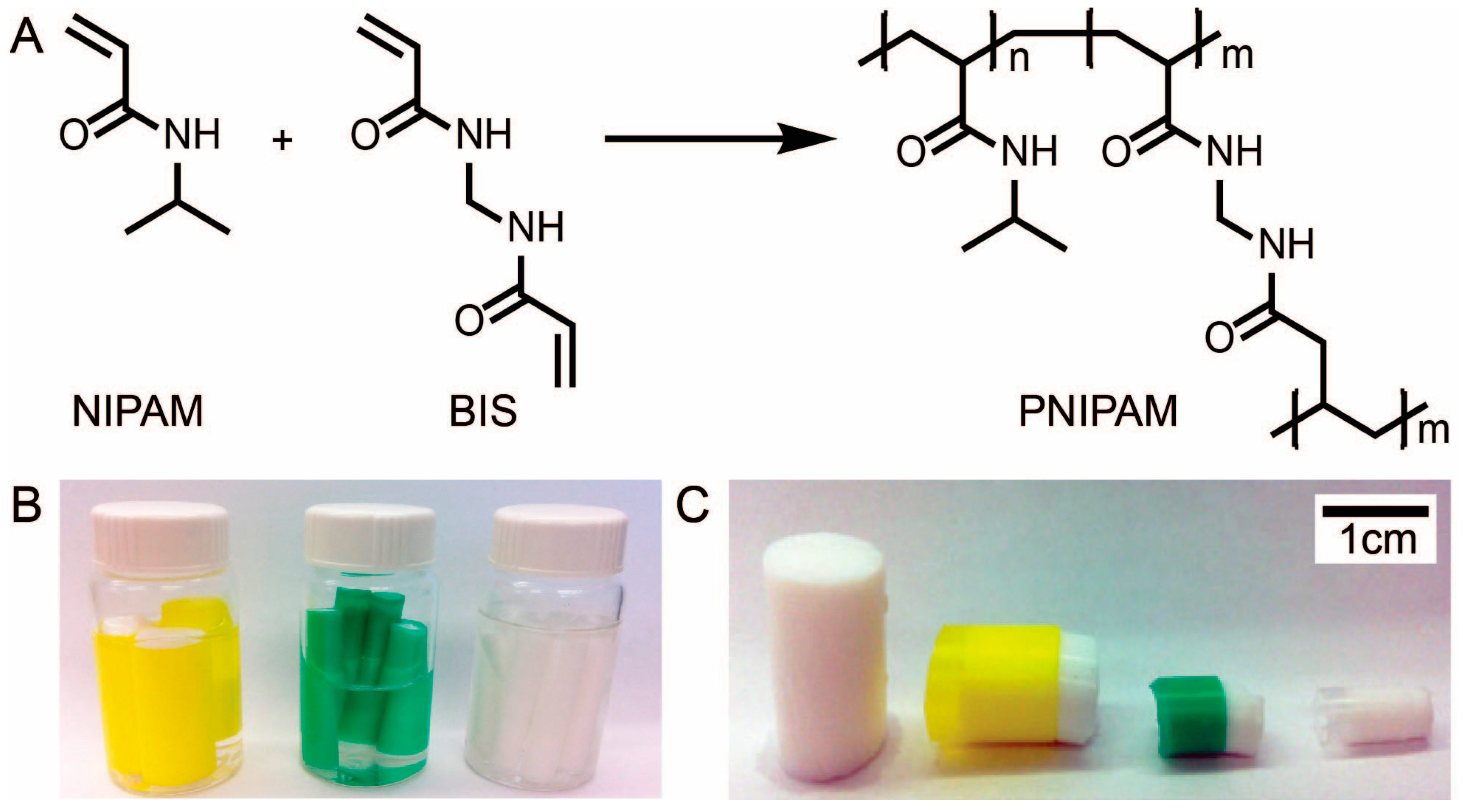 Chromatography | Free Full-Text | Poly(N-isopropylacrylamide) Hydrogels ...