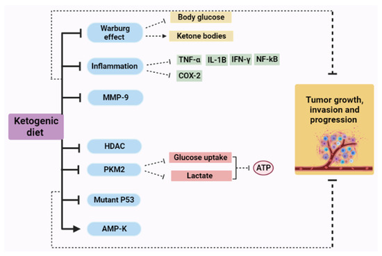 Ketogenic Diet in Cancer Prevention and Therapy: Molecular Targets and ...