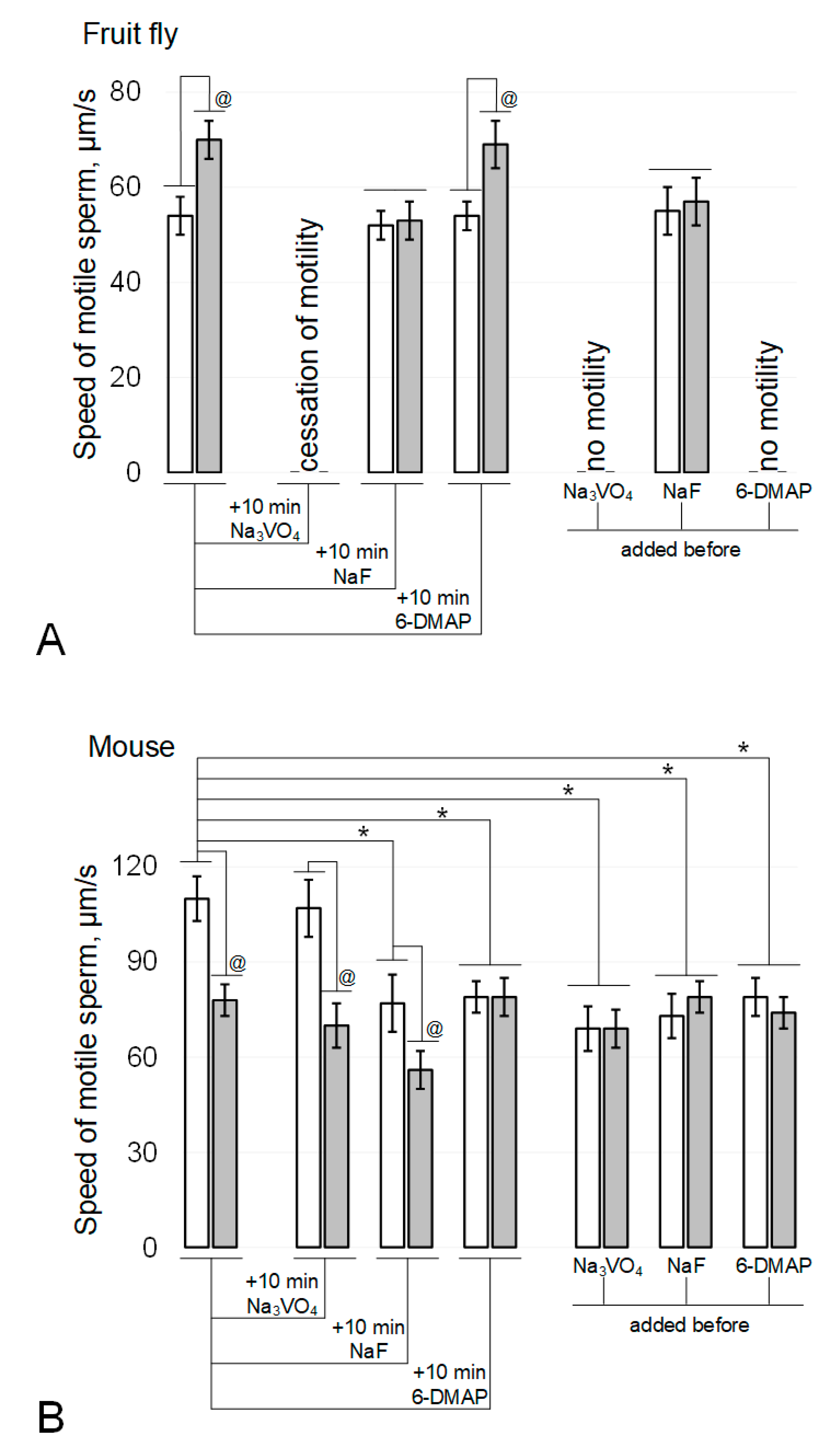 Mouse and Fly Sperm Motility Changes Differently under Modelling Microgravity