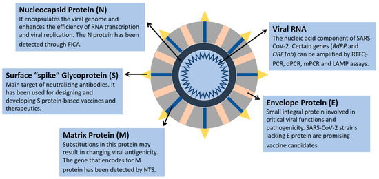 CIMB | Free Full-Text | Coronavirus Disease 2019 (COVID-19) Diagnostic ...