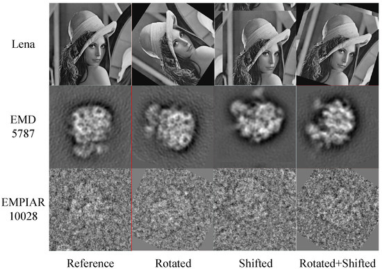 A Fast Image Alignment Approach for 2D Classification of Cryo-EM Images Using Spectral Clustering