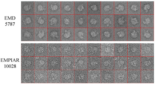 A Fast Image Alignment Approach for 2D Classification of Cryo-EM Images Using Spectral Clustering