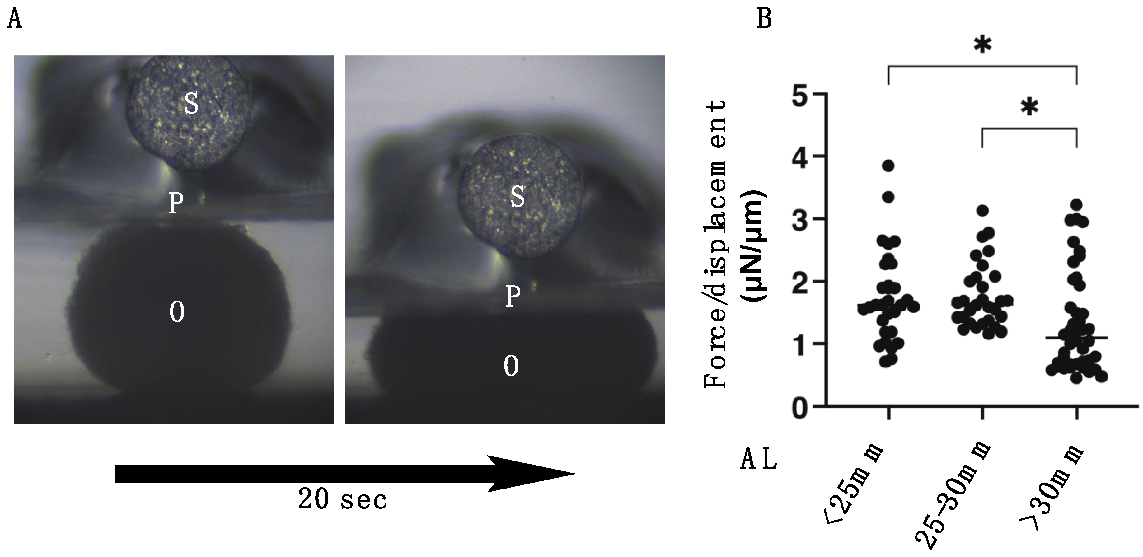 Modulation of the Physical Properties of 3D Spheroids Derived from ...