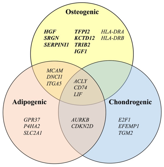 The Identification of Marker Genes for Predicting the Osteogenic Differentiation Potential of ...