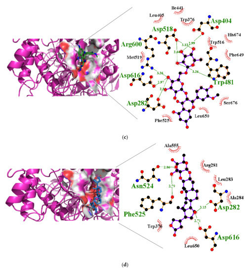 CIMB | Free Full-Text | Molecular Structure-Based Screening of the ...