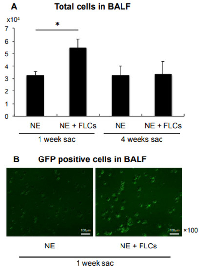 Fetal Lung Cells Transfer Improves Emphysematous Change in a Mouse Model of Neutrophil Elastase ...