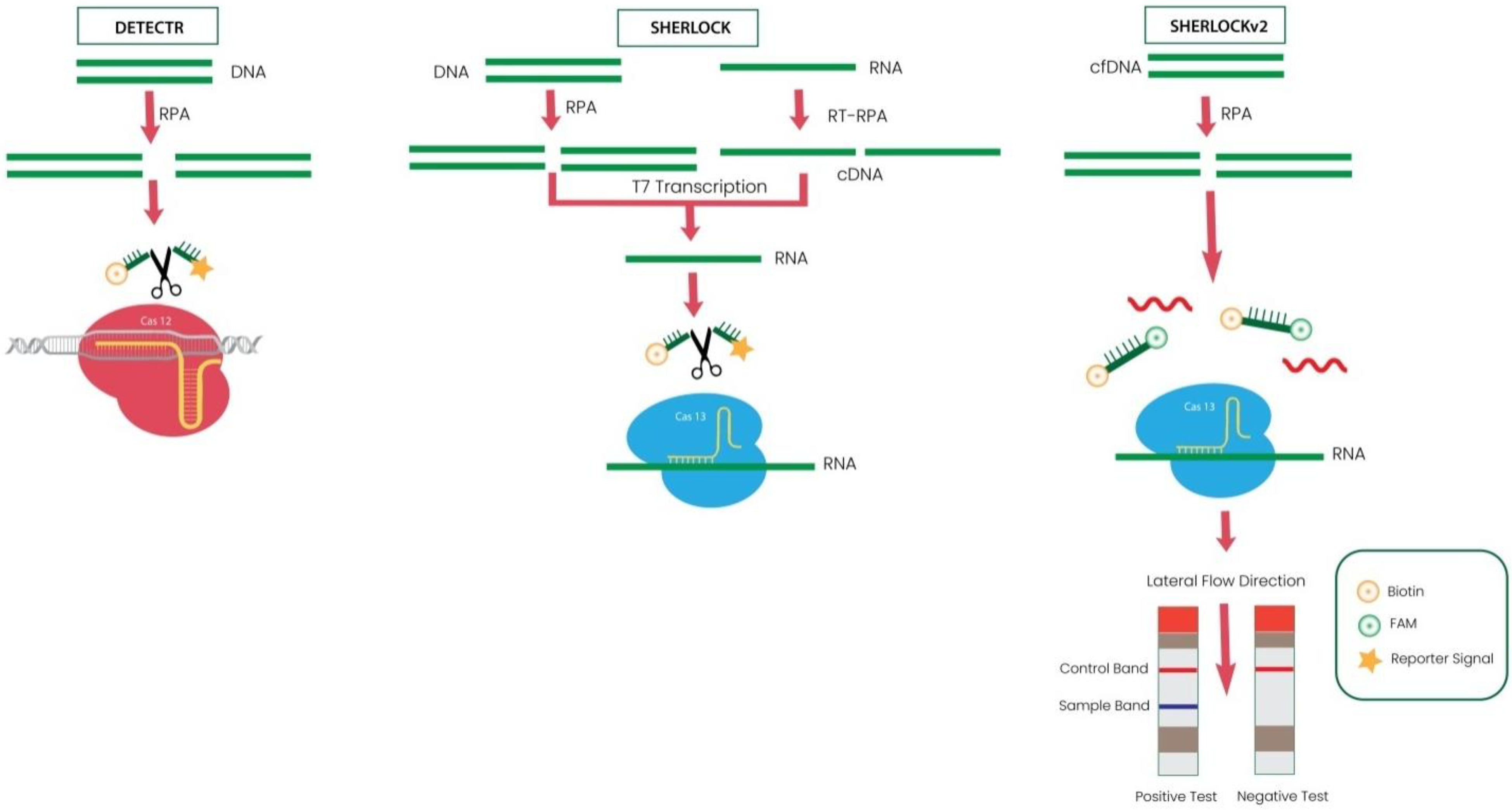 CIMB | Free Full-Text | Era of Molecular Diagnostics Techniques before ...